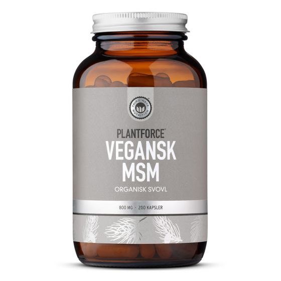 Plantforce MSM capsules (800 mg) 200 caps|Best Price