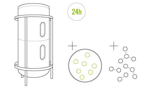 How our (Dutch) chlorella is grown